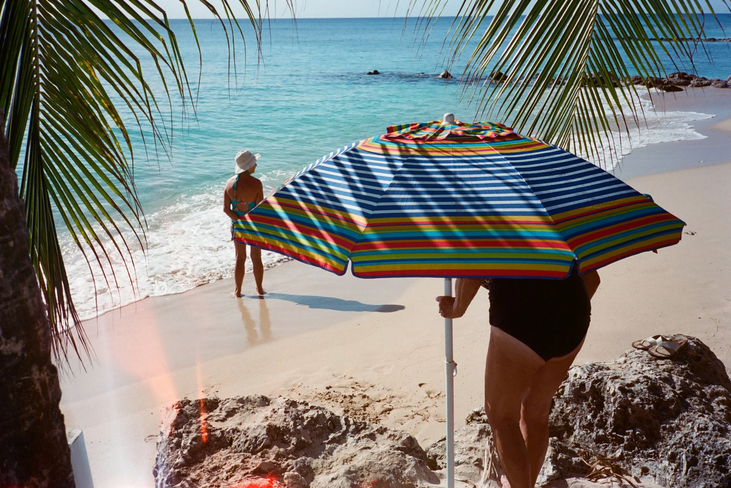 PHOTOGRAPHY — AMELIA MEHTA