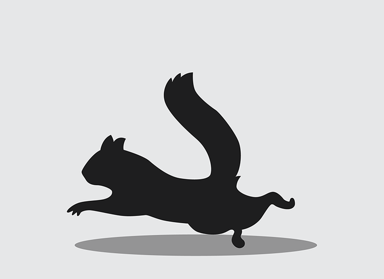 The Squirrels — SquirrelMapper