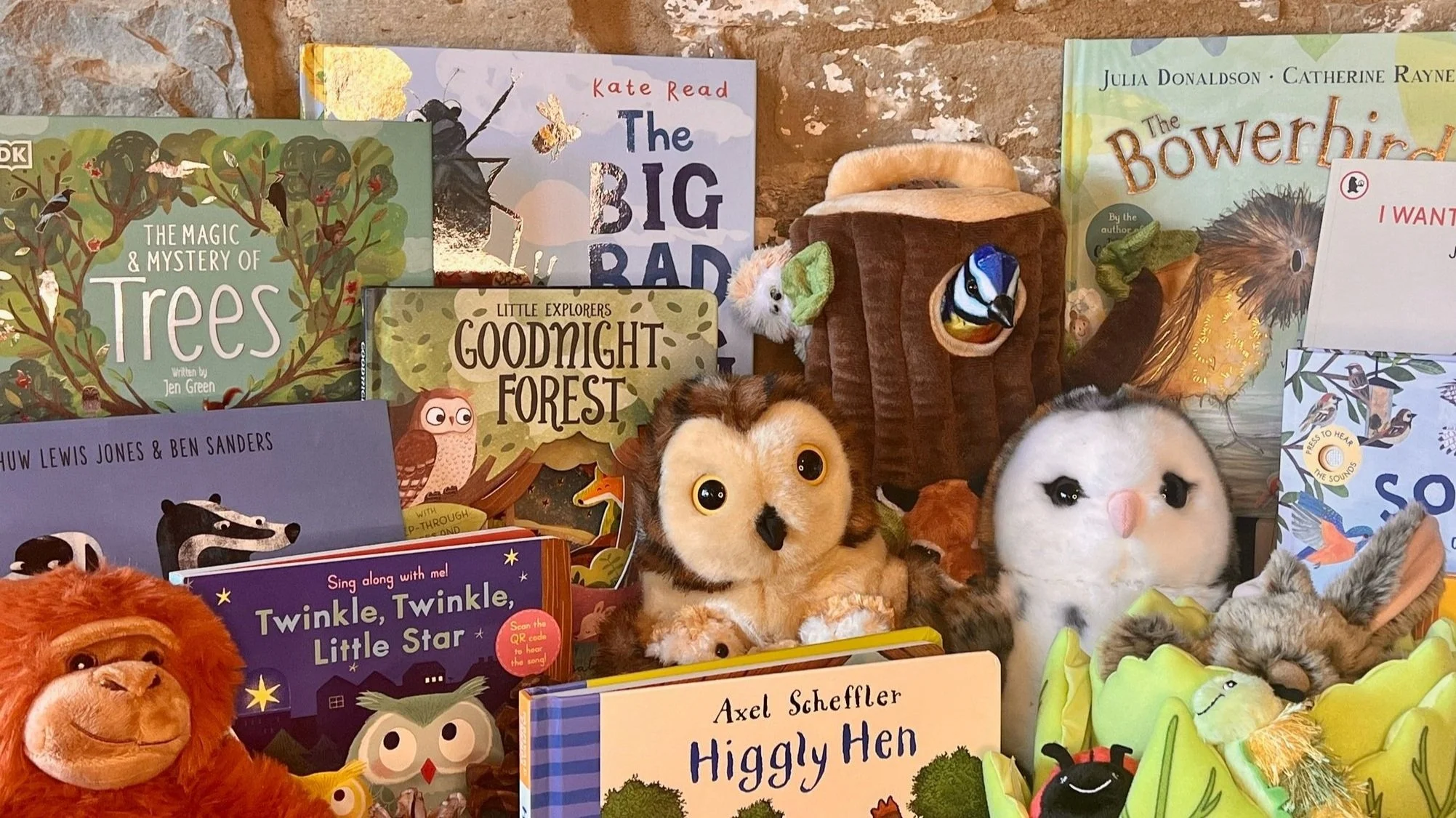 Barn Owl Books | Independent bookshop in Malmesbury, Wiltshire