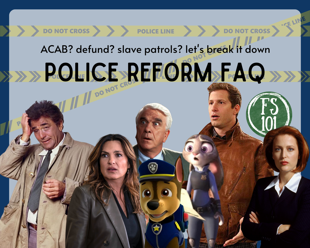 Police Reform FAQ — Feminist Studies 101