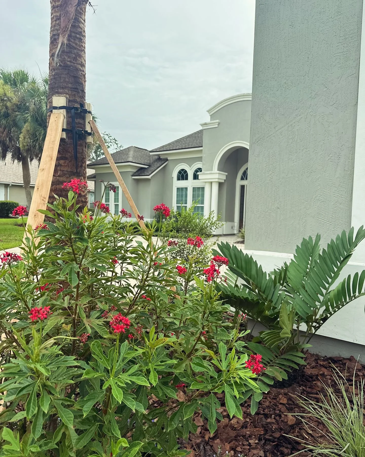 Wacca Pilatka Florida Friendly Landscaping & Irrigation