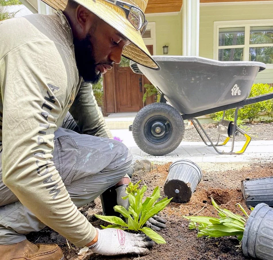 THE PLANT ESTABLISHMENT PERIOD: WHAT IS IT AND WHAT YOU CAN DO TO HELP ...