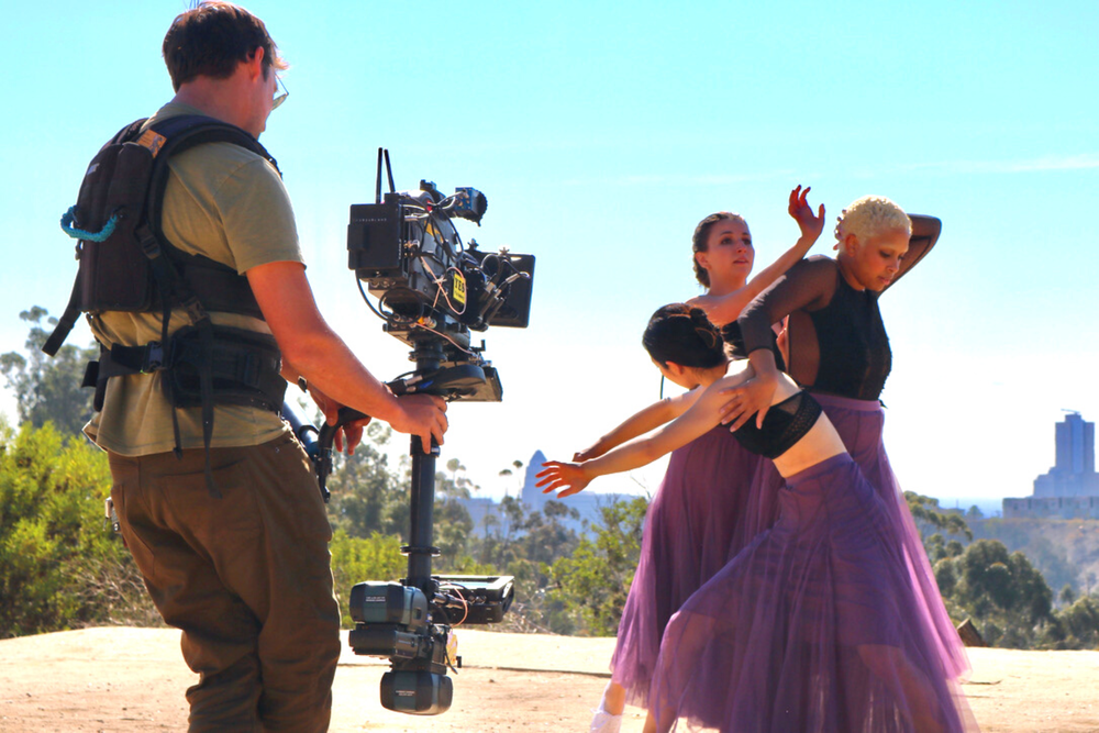 Artistic Works — The Sunflower Project