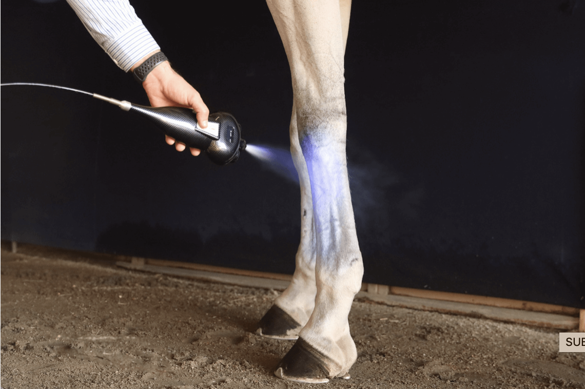 Equine & Canine Cryotherapy