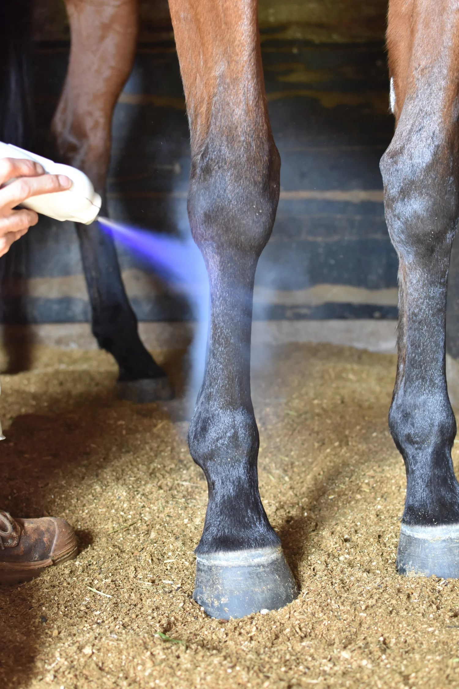 Subzero Cryotherapy Device | Equine & Canine Cryotherapy