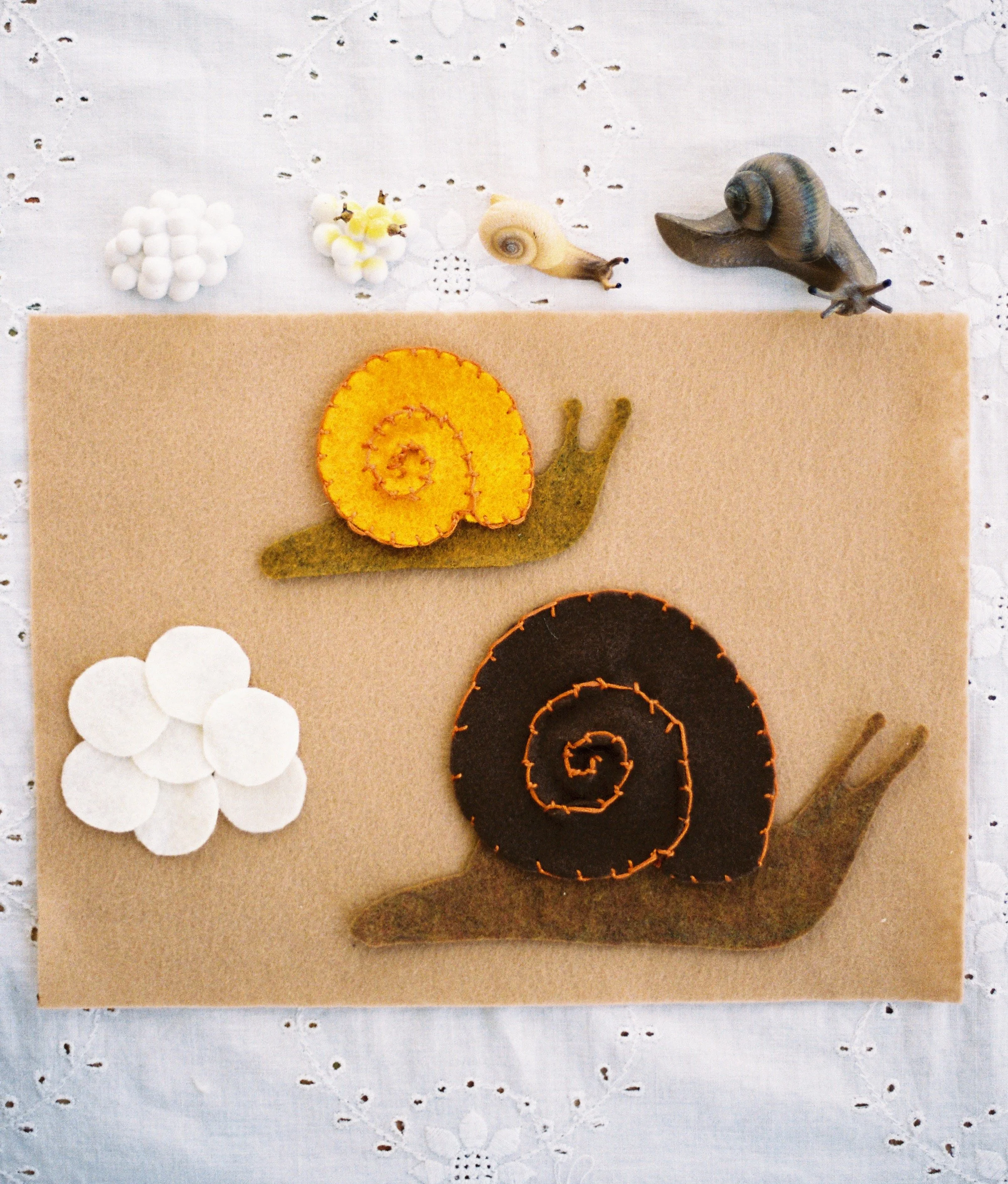 Snail Life Cycle — KINDERFOLK