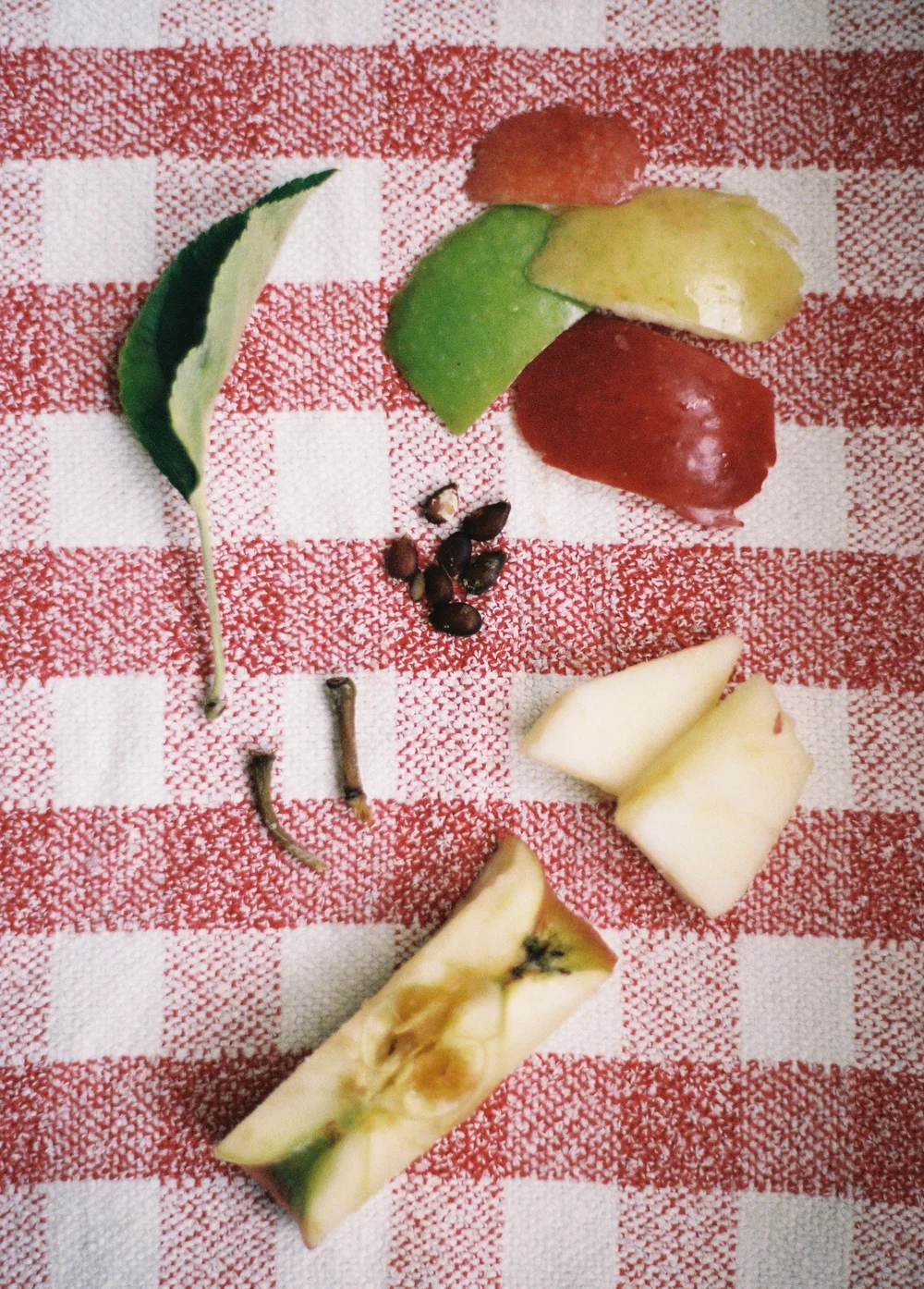 Exploring Parts of an Apple with our 5 Senses — KINDERFOLK