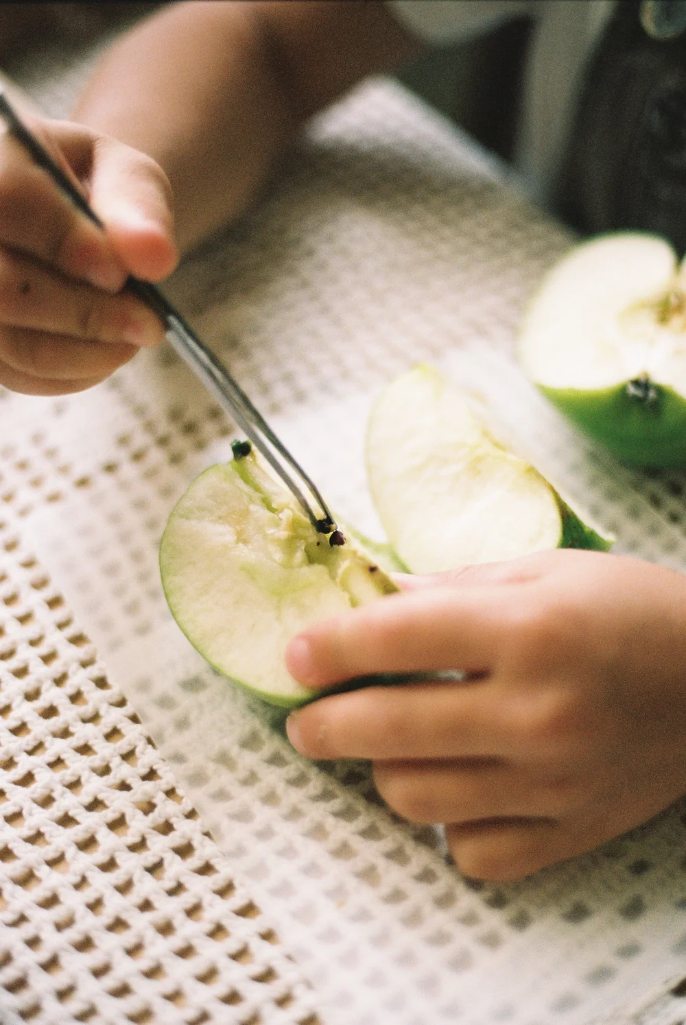 Exploring Parts of an Apple with our 5 Senses — KINDERFOLK