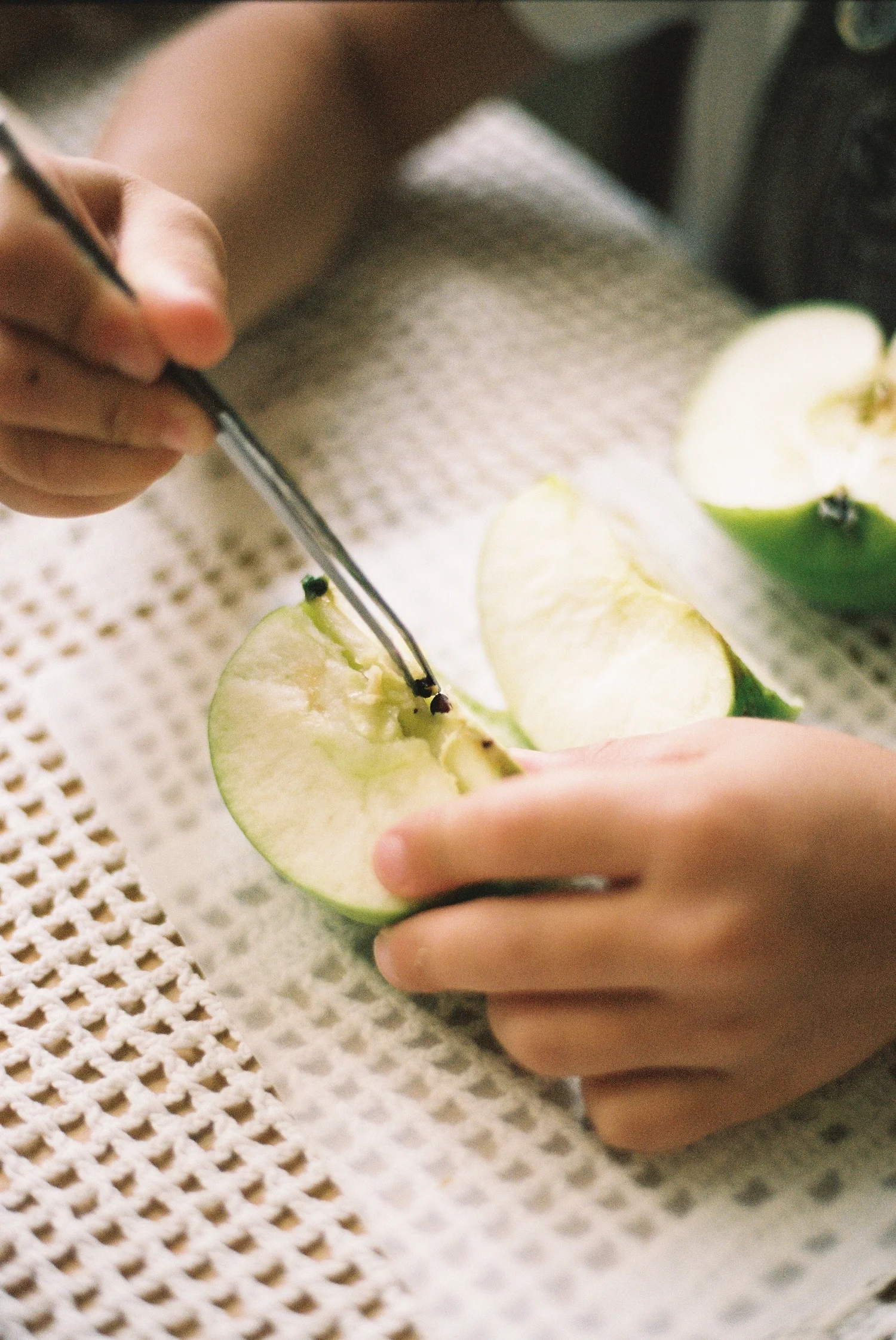 Exploring Parts of an Apple with our 5 Senses — KINDERFOLK