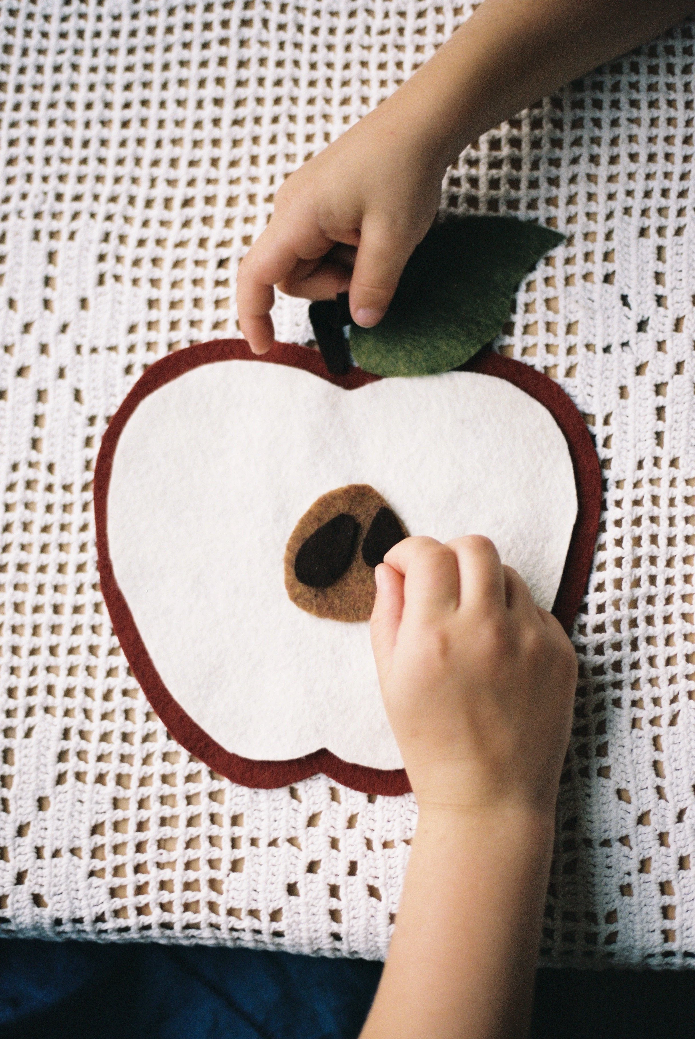 Exploring Parts of an Apple with our 5 Senses — KINDERFOLK
