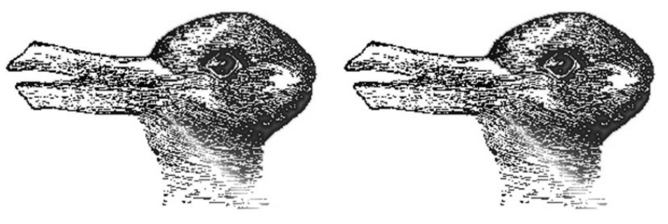 Textualism and the Duck-Rabbit Illusion — California Law Review