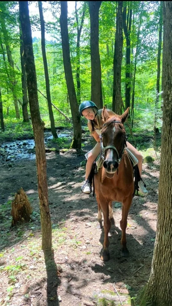 Ruggiero's Public Horseback Riding And Cabin Rentals