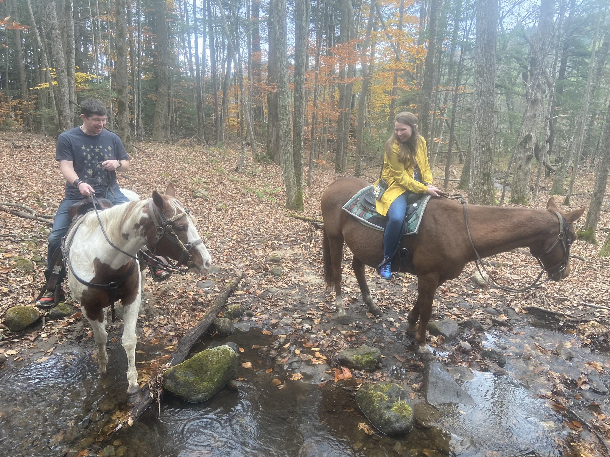 Services 1 — Ruggiero's Public Horseback Riding And Cabin Rentals