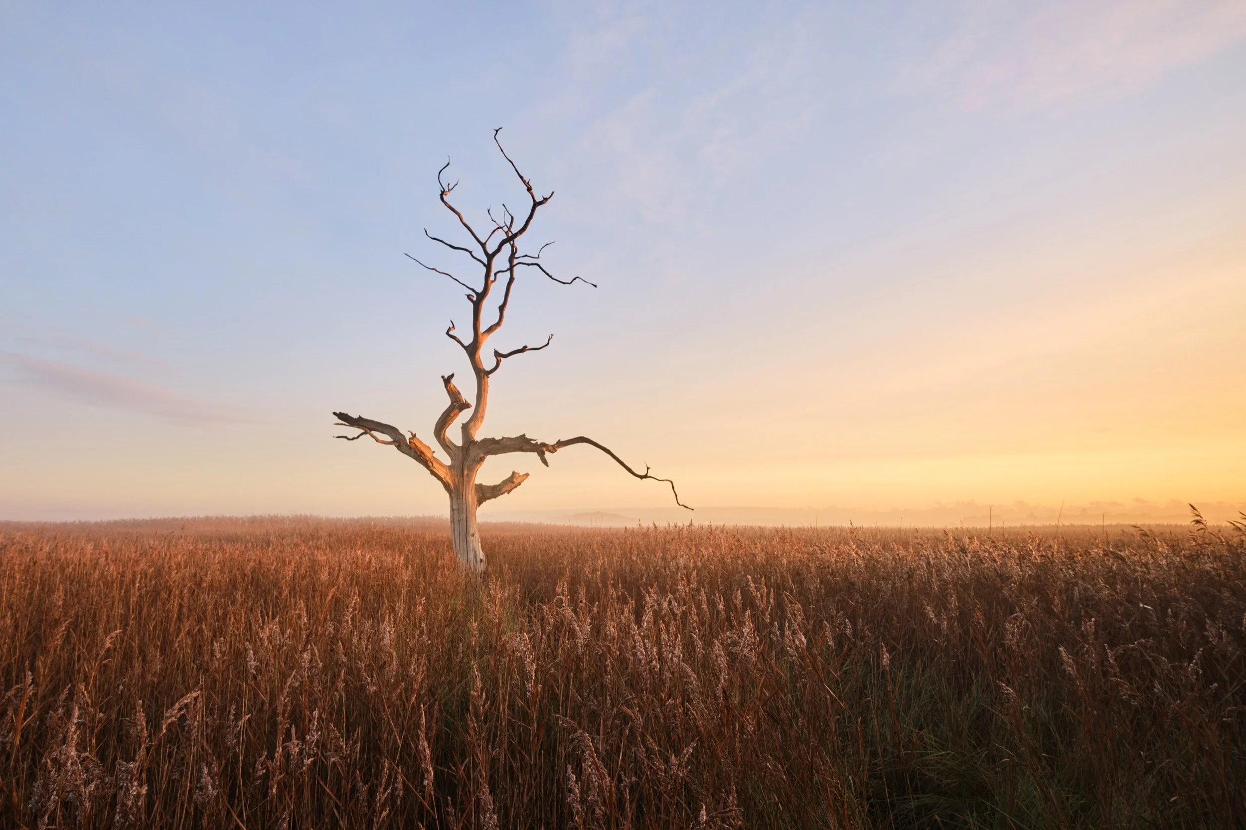 Recent | Daniel Ian | Award Winning Landscape Photographer | Aldeburgh ...