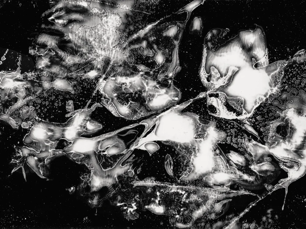 Getting Creative With Chemigrams | Daniel Ian | Suffolk Landscape ...