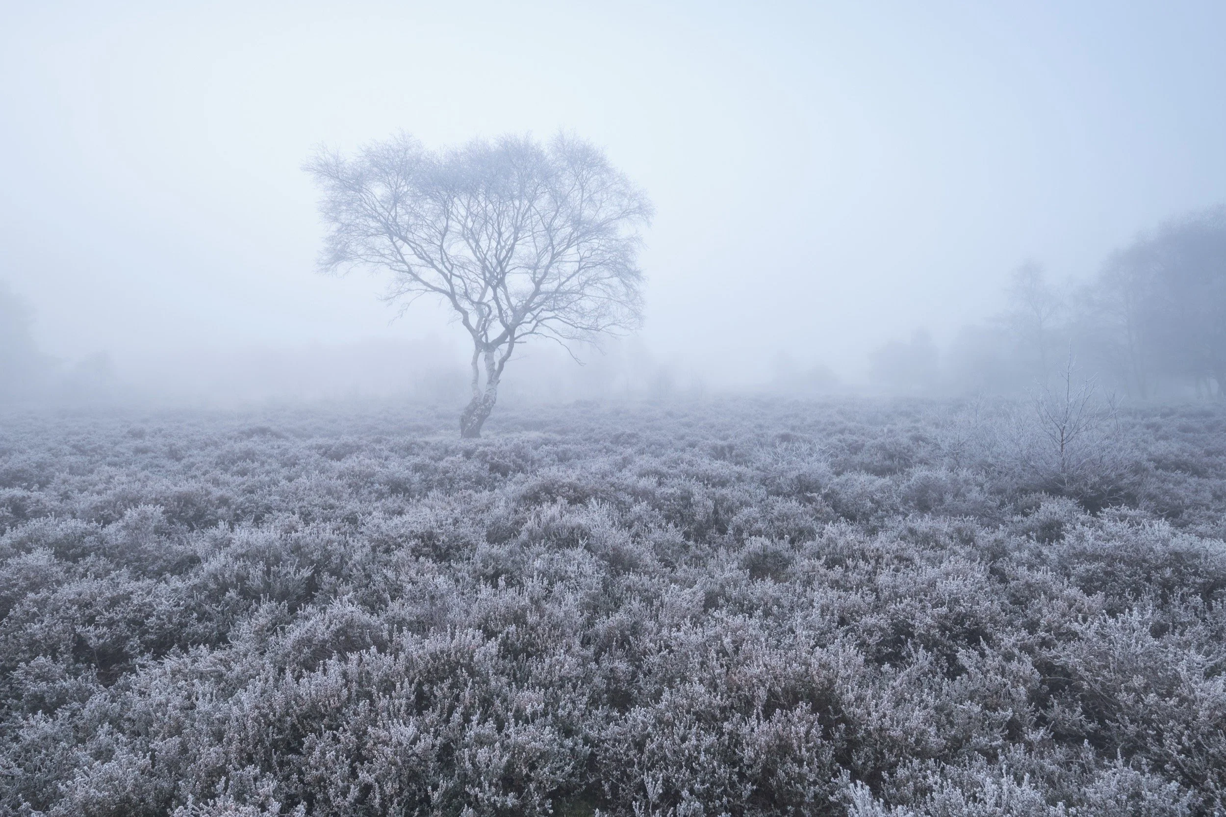 Recent | Daniel Ian | Award Winning Landscape Photographer | Aldeburgh ...