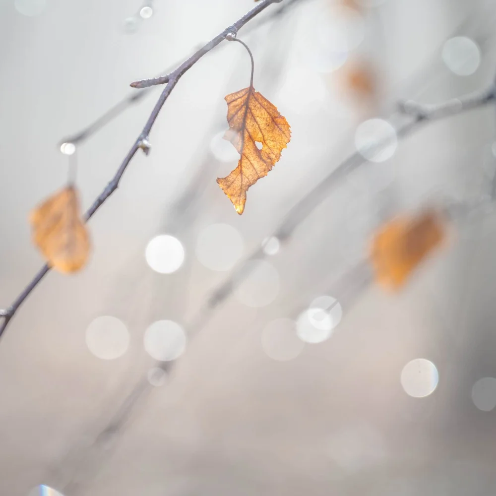 On Zen and Mindfulness | Daniel Ian | Award Winning Landscape ...