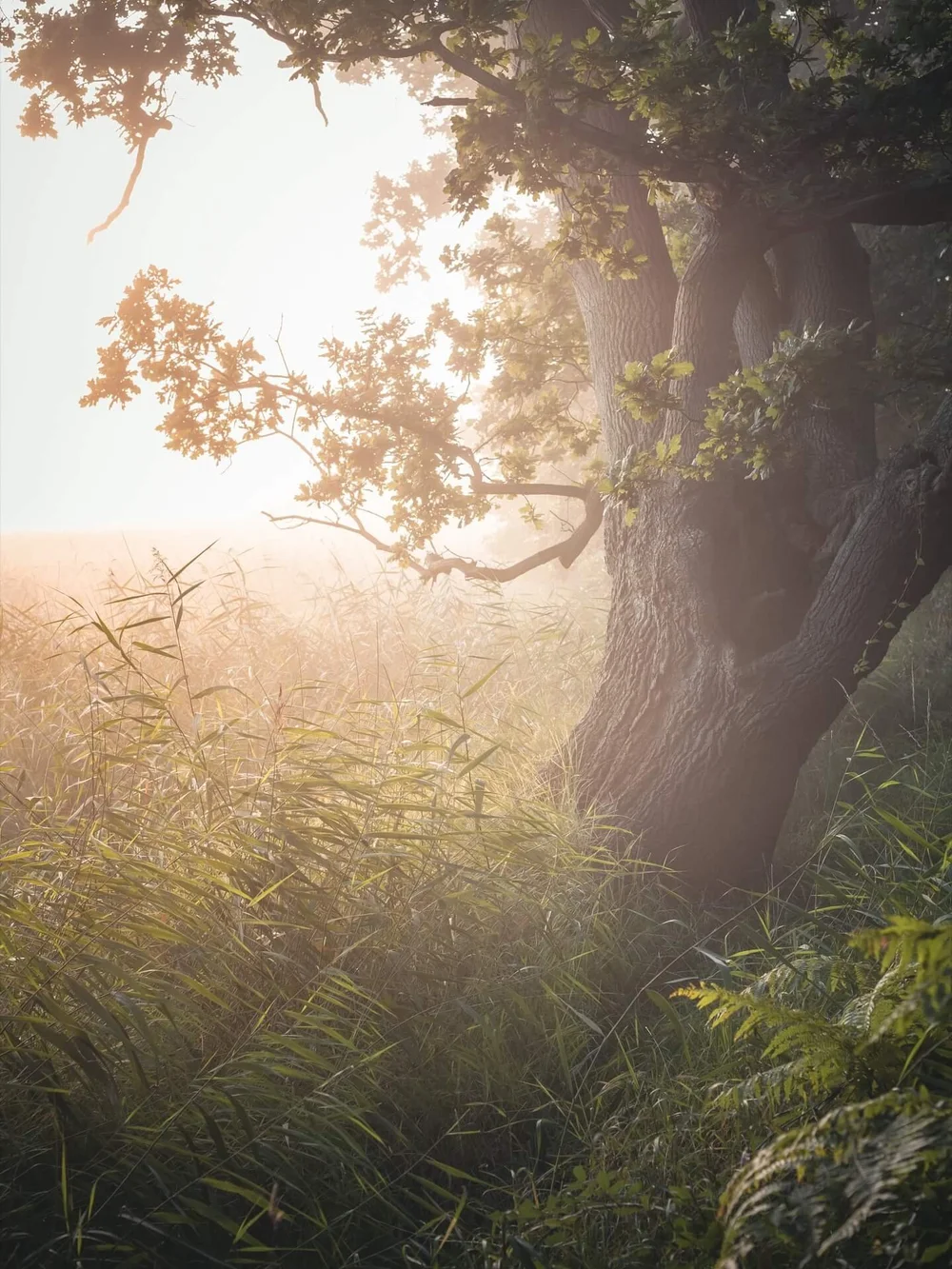 Shooting The Canon 5D Classic in 2023 | Daniel Ian | Award Winning ...