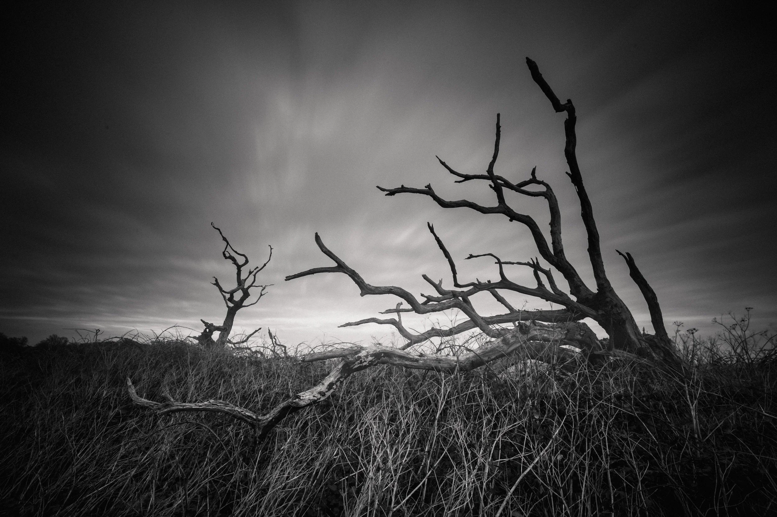 Archive | Daniel Ian | Award Winning Landscape Photographer | Aldeburgh ...