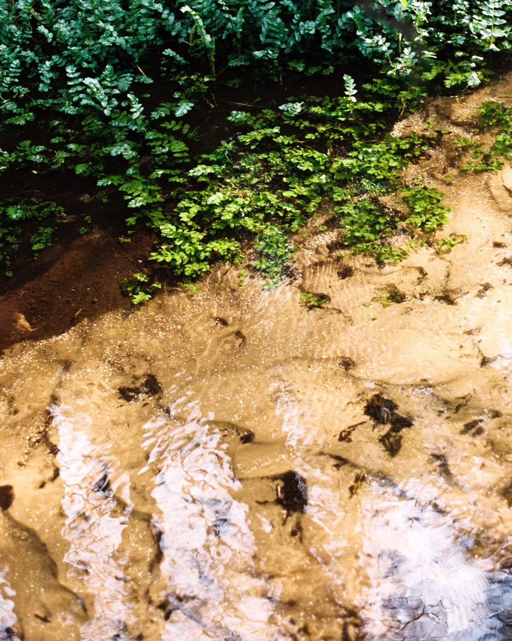 Exploring The Unseen | Daniel Ian | Award Winning Landscape ...