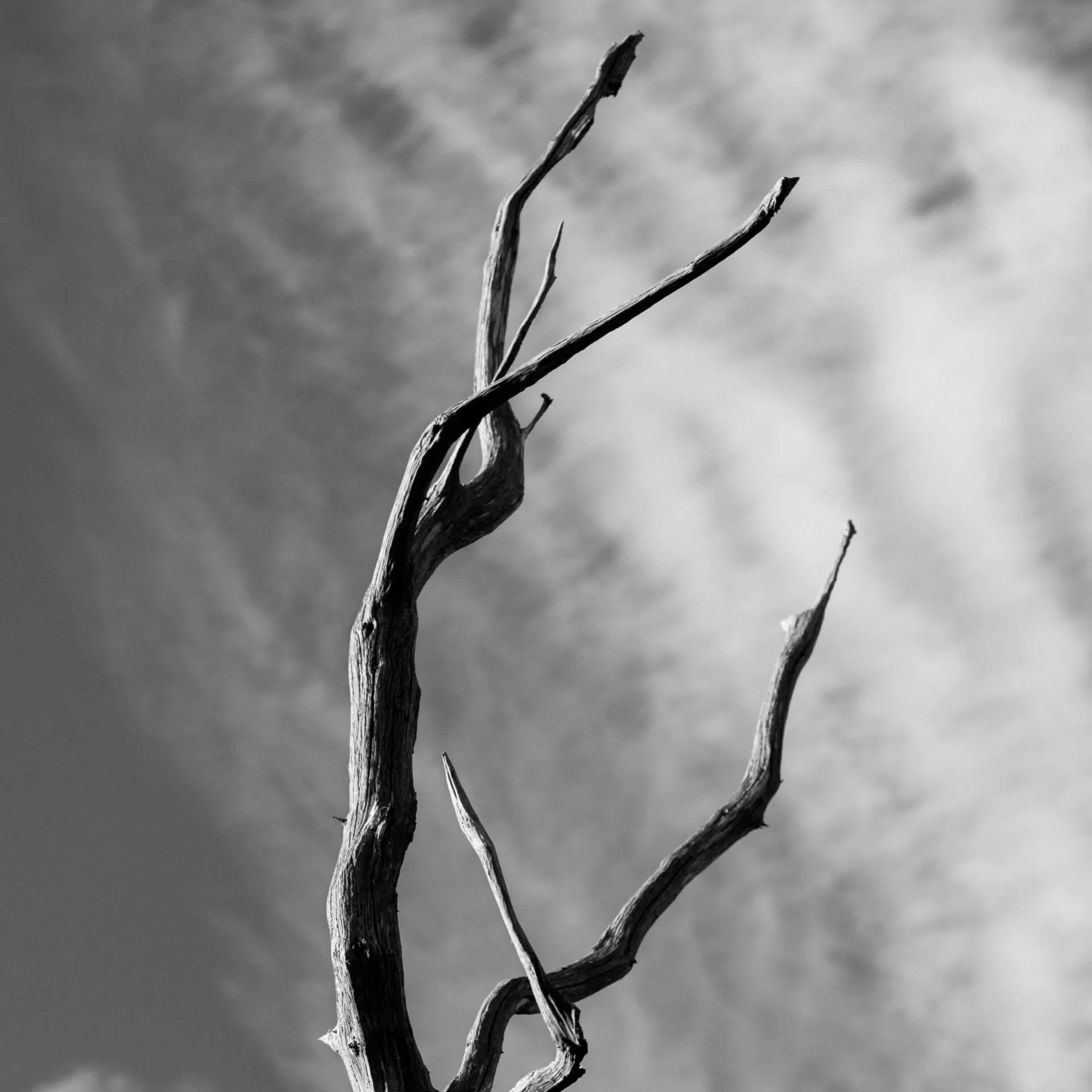 On Zen and Mindfulness | Daniel Ian | Award Winning Landscape ...