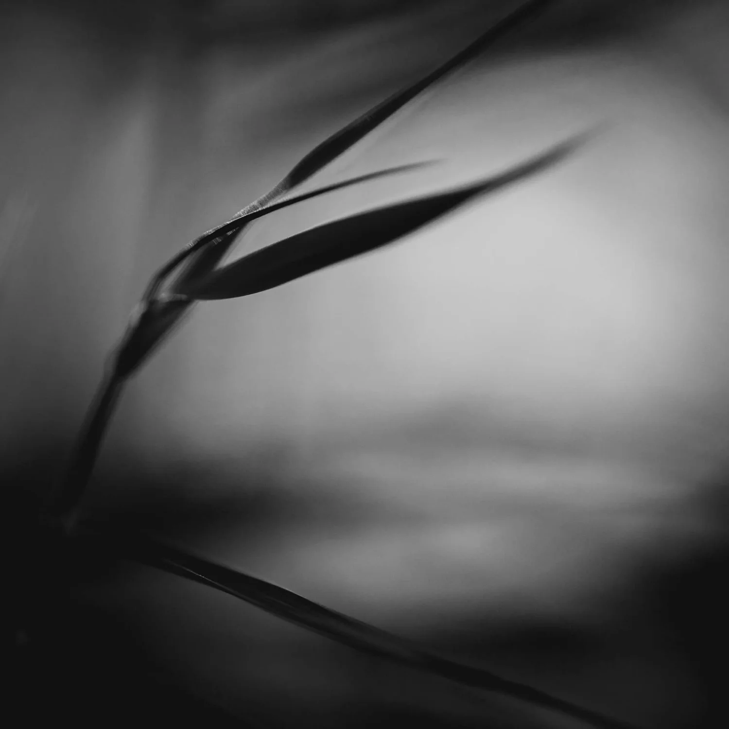 On Zen and Mindfulness | Daniel Ian | Award Winning Landscape ...