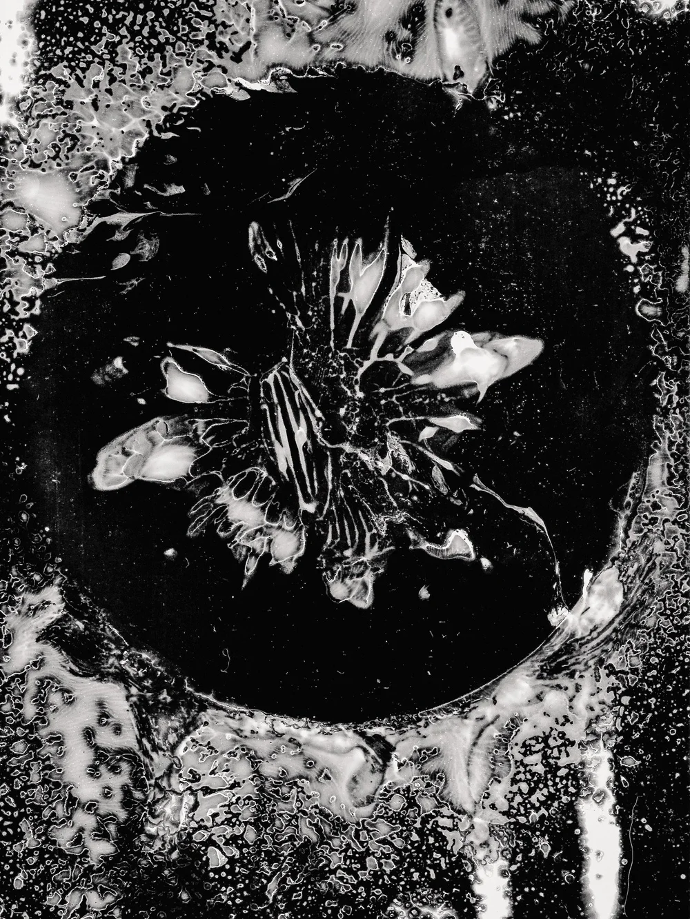 Getting Creative With Chemigrams | Daniel Ian | Award Winning Landscape ...