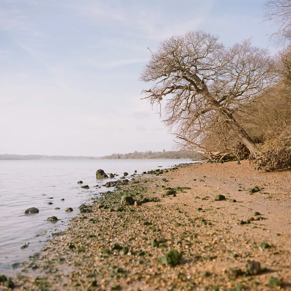Exploring Nacton Shores | Daniel Ian | Award Winning Landscape ...