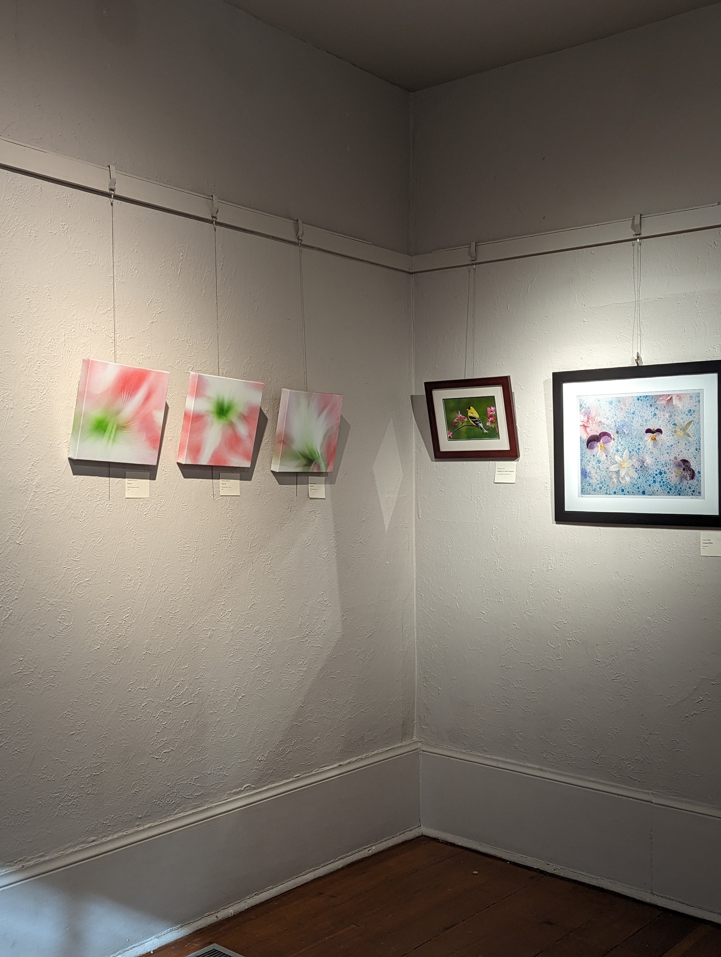 Grand River Artist Collective events page — Grand River Artists Collective