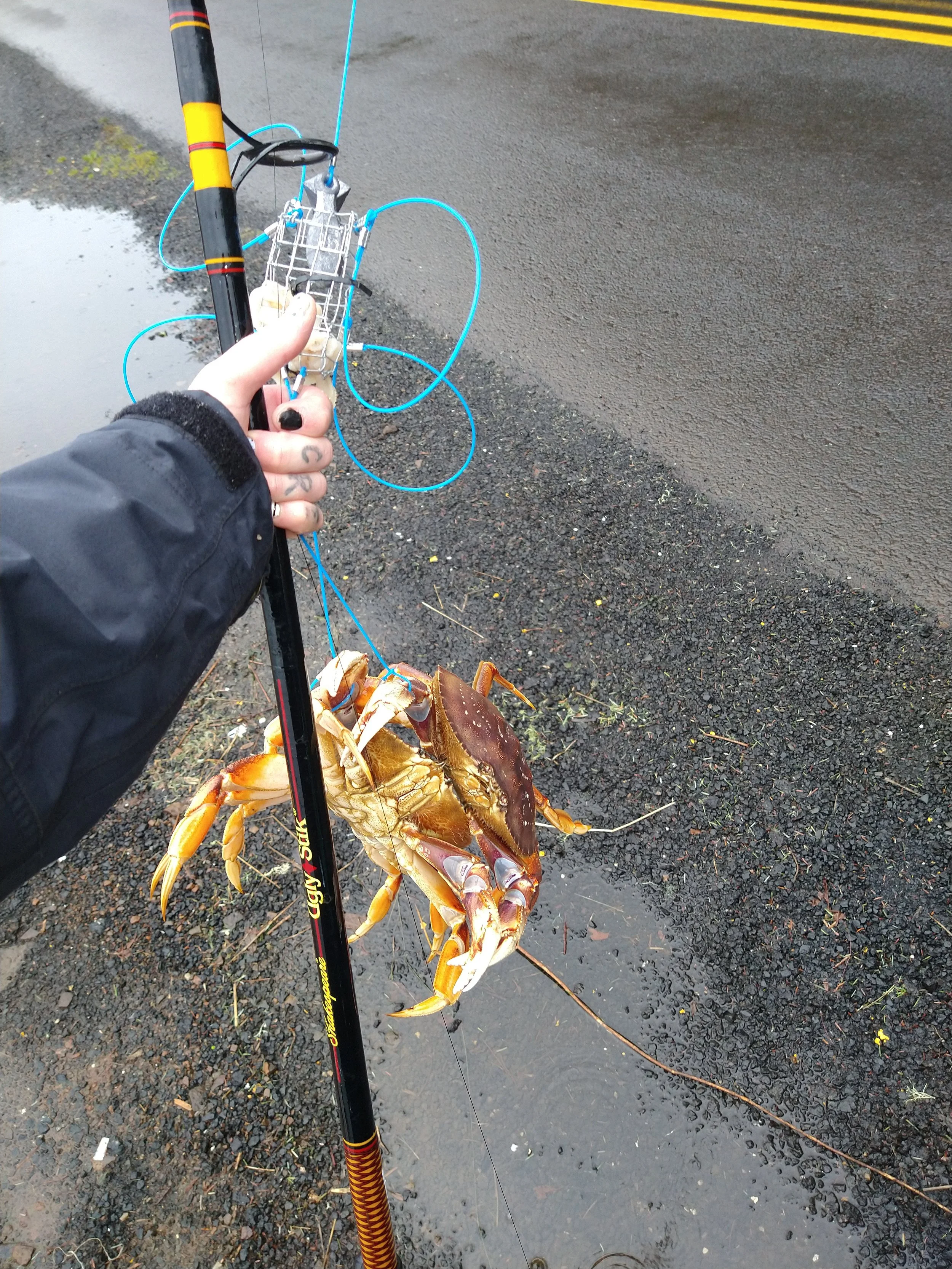 Beach Bandit Crab Snares