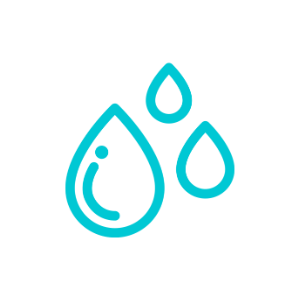 Transportation — co:census