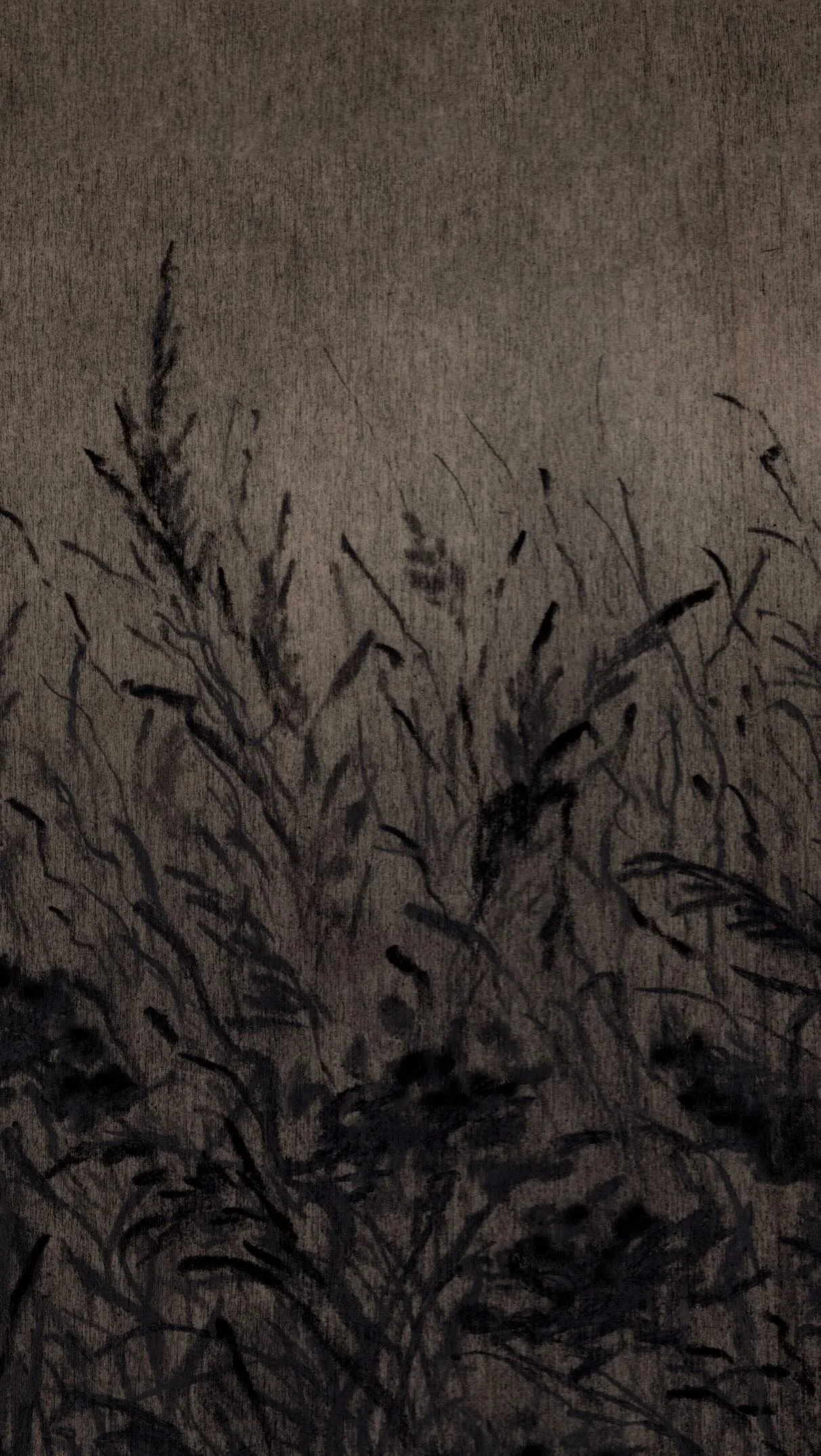 Featured Project | Susan Chancey Interiors — Linsey Gray