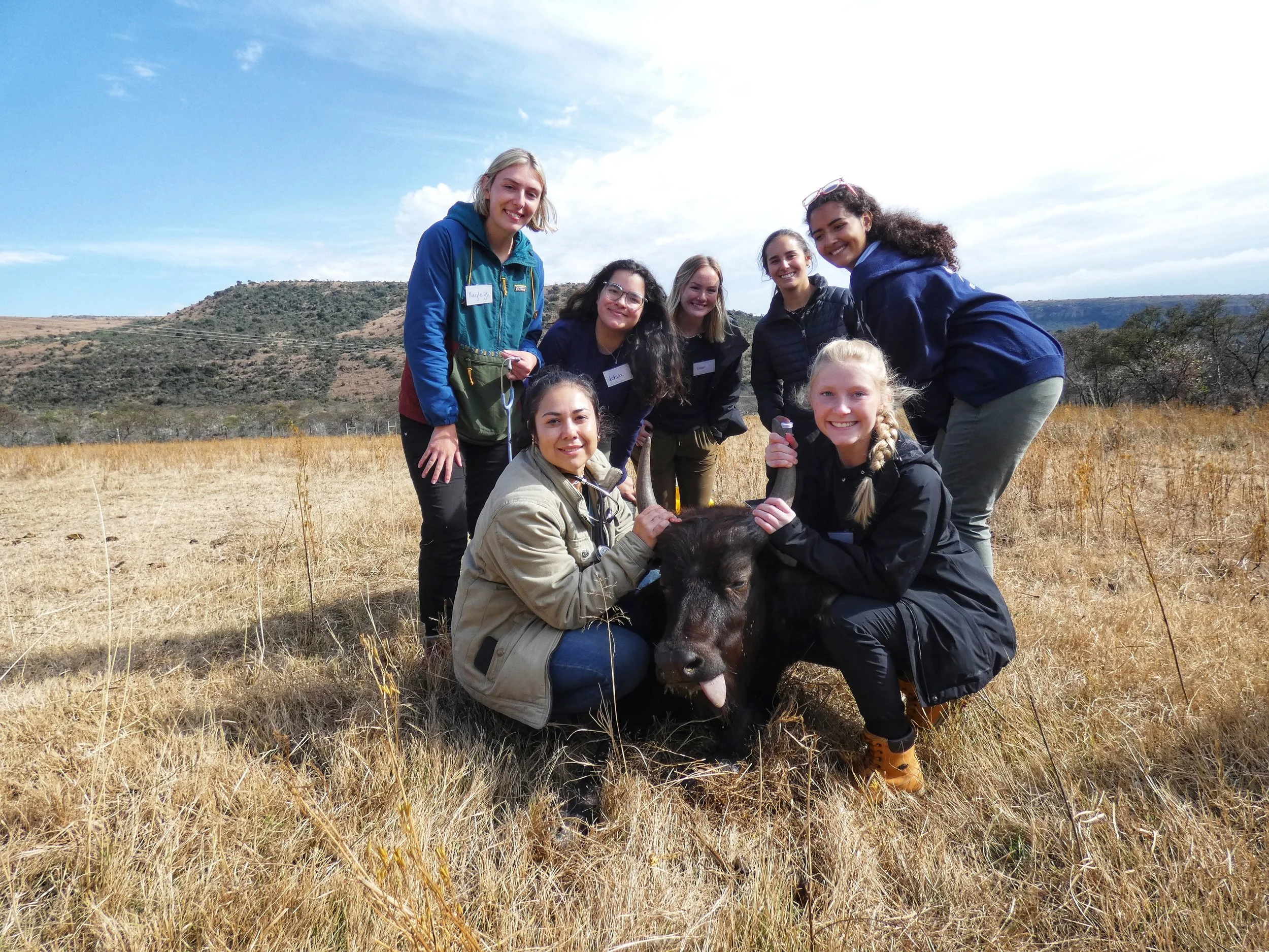 GAEA CONSERVATION STUDIO