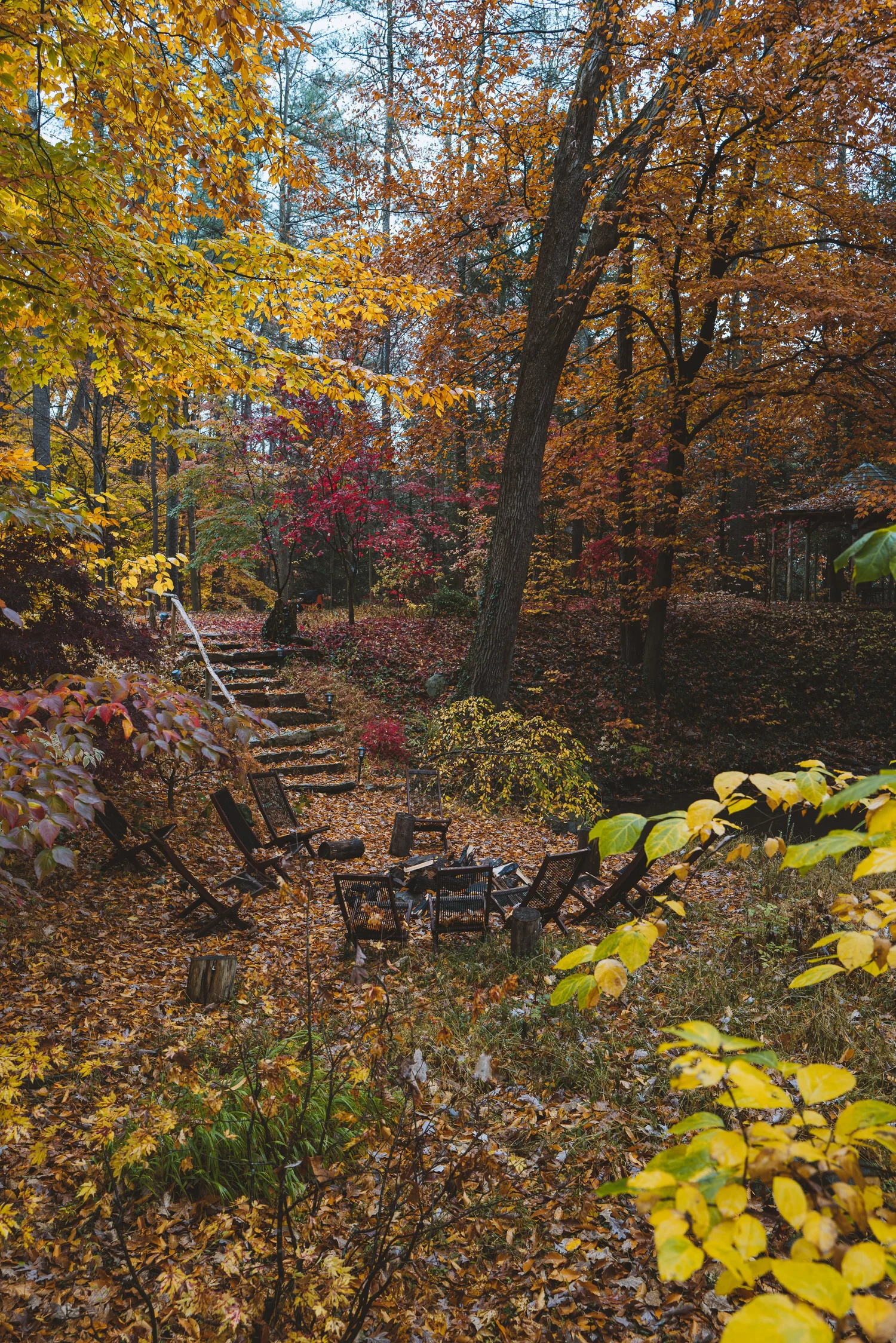 Grounds — Grateful Woods