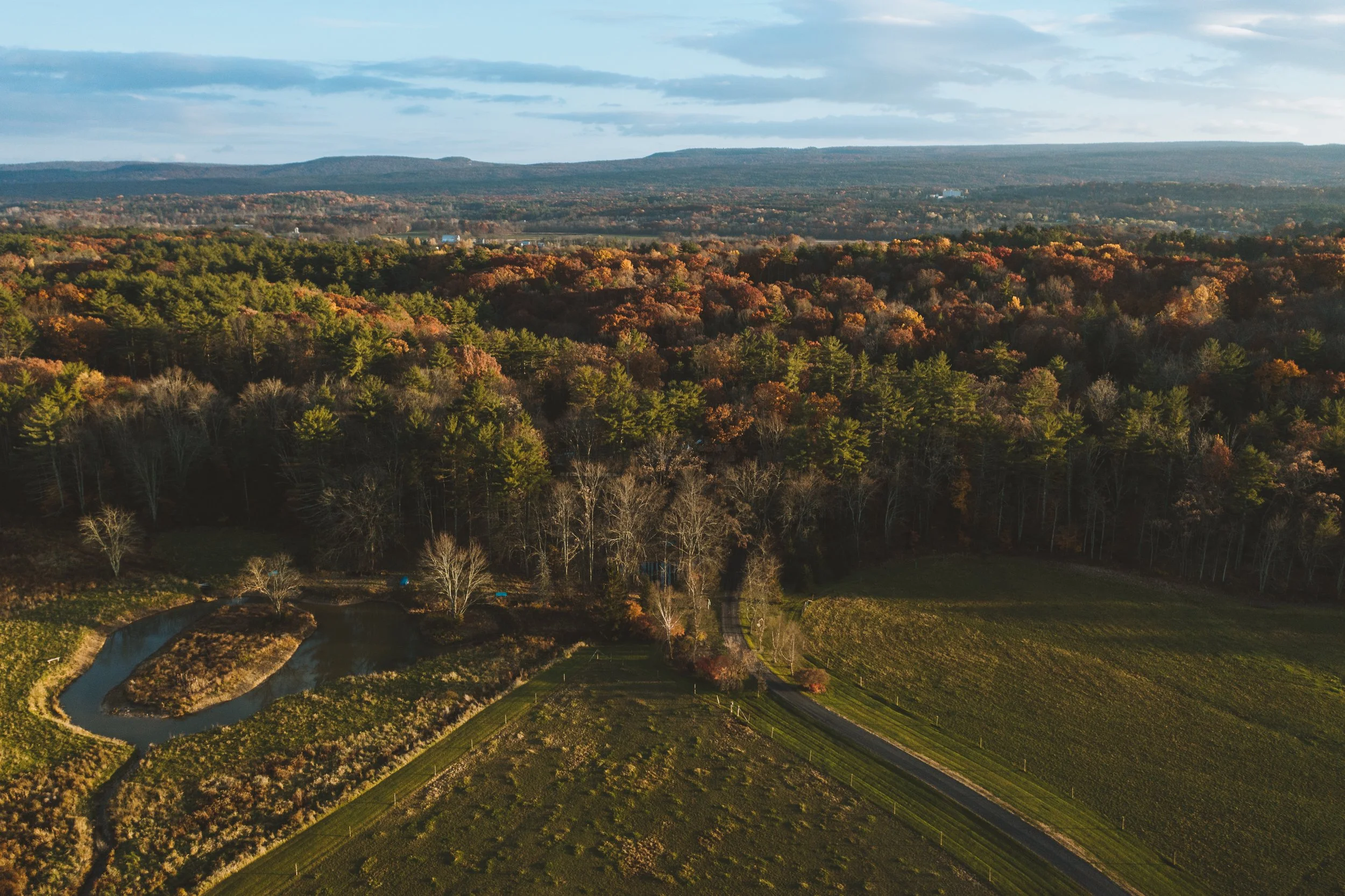 Grounds — Grateful Woods