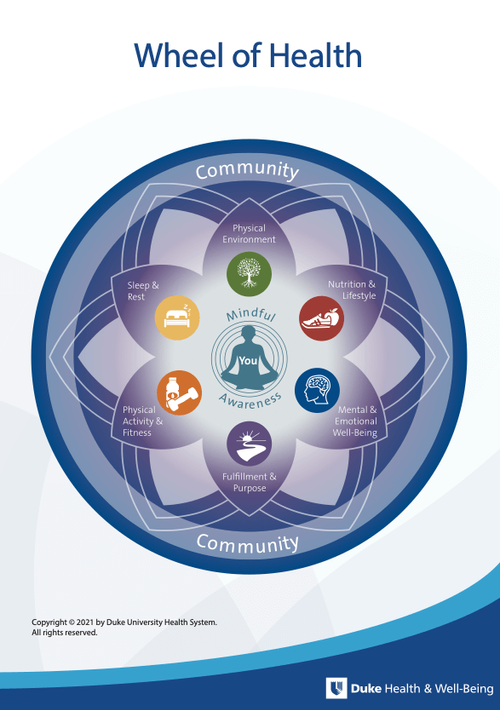 8 Part Wellness Wheel of Health — Stephanie C. Hodges