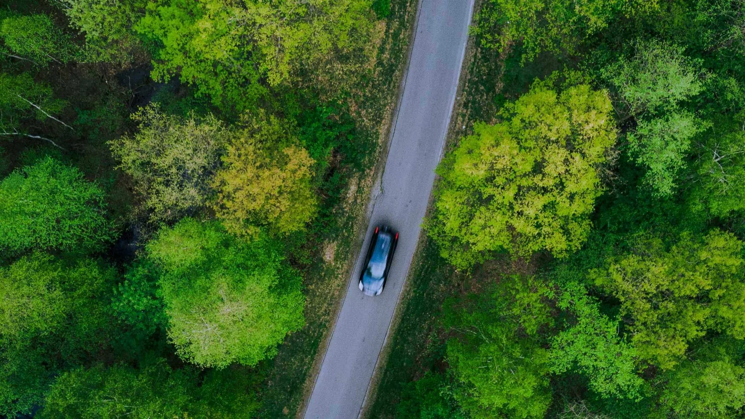 Practicing Mindfulness: 11 Ways to Be Present in the Moment — Stephanie ...