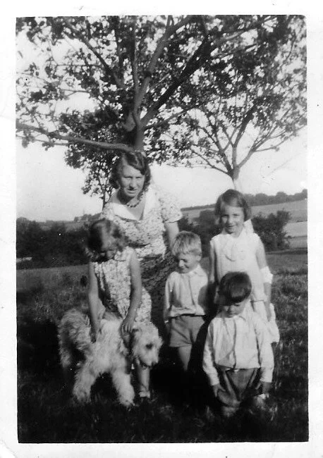 About 5 — Frys' Farm Shop
