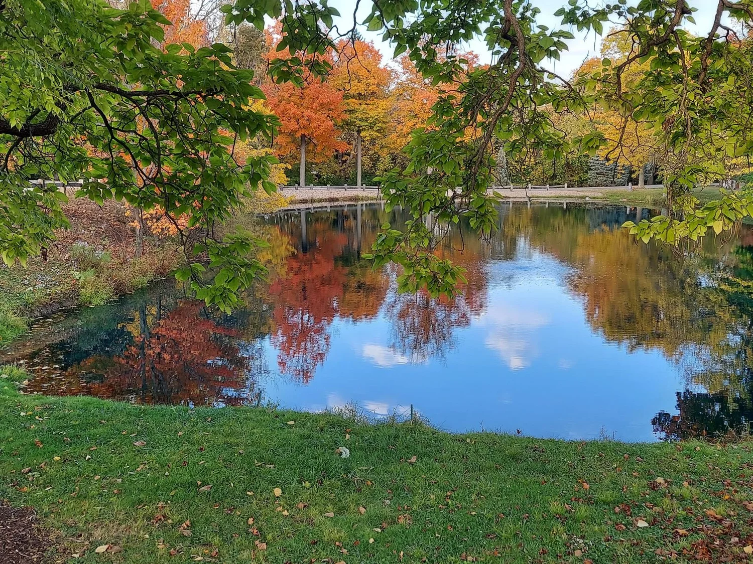 SPRING GROVE ARBORETUM — FRIENDS OF THE CEMETERY