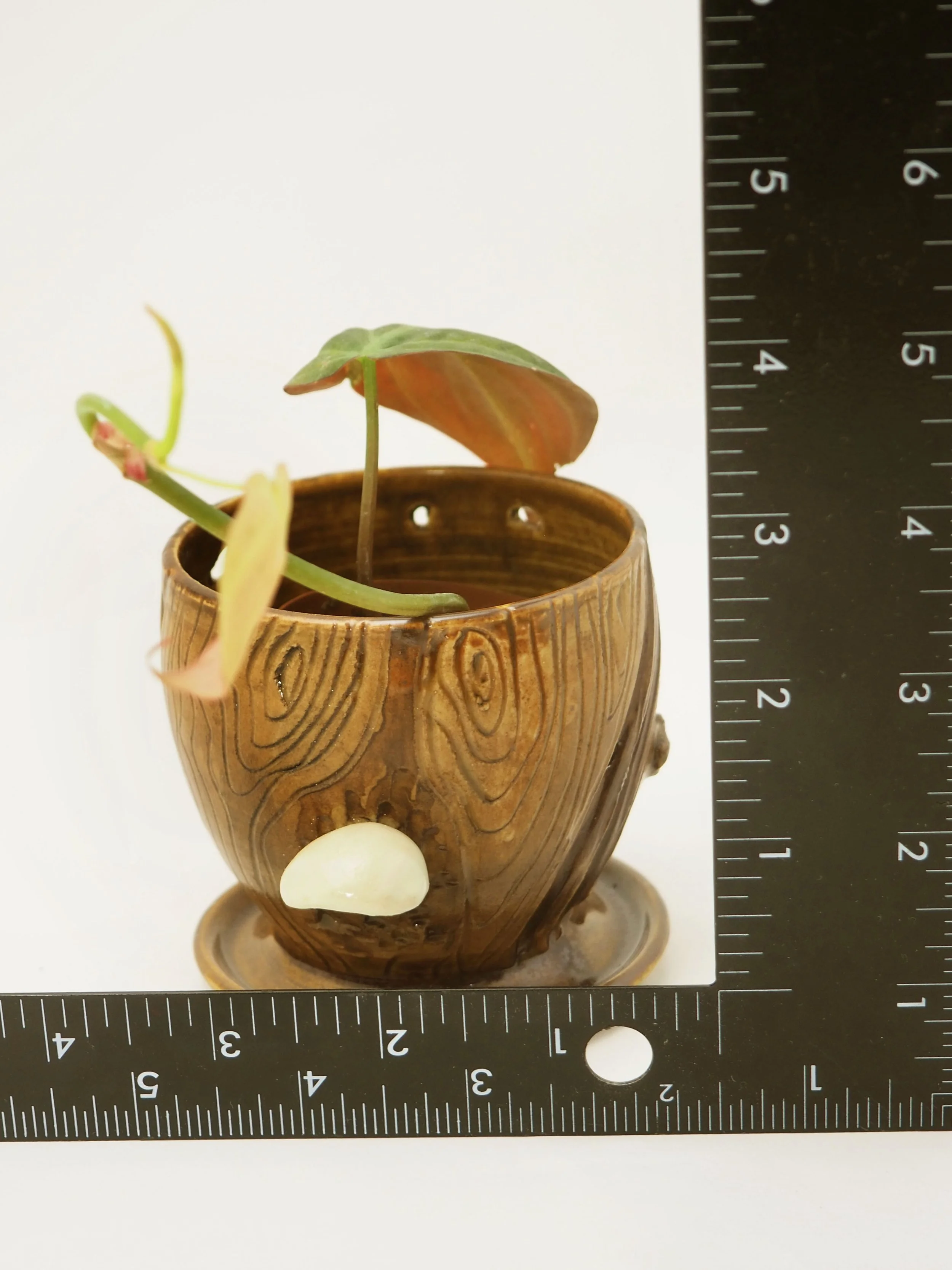 Shop — Jennifer Meeker Art Ceramics