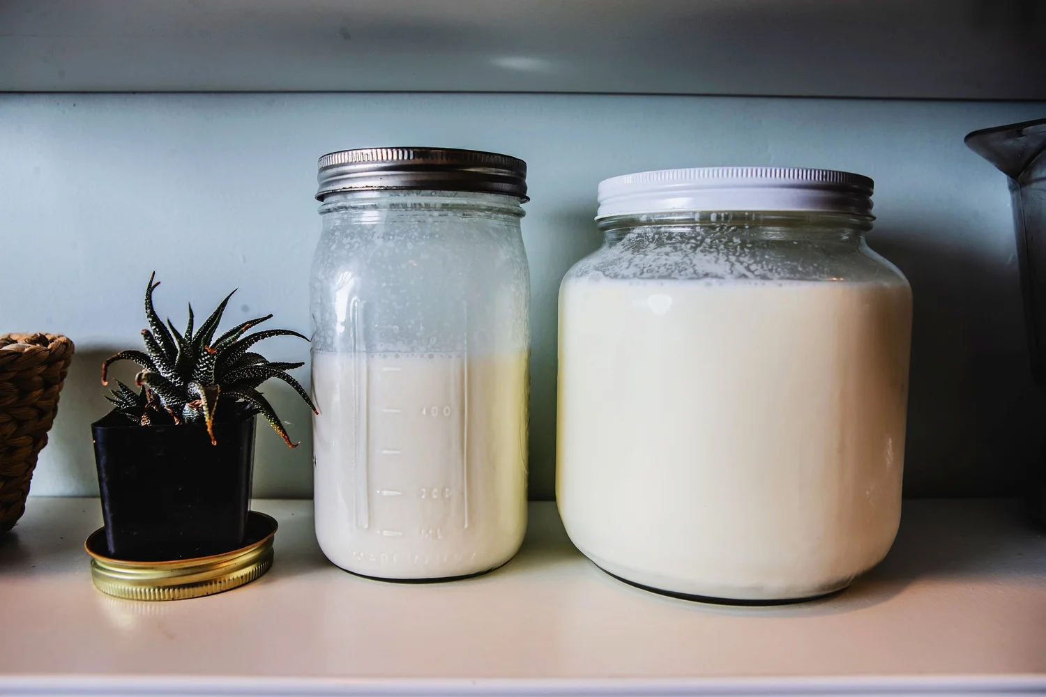 How to Make Sour Cream & Crème Fraîche ~naturally lactose free ...