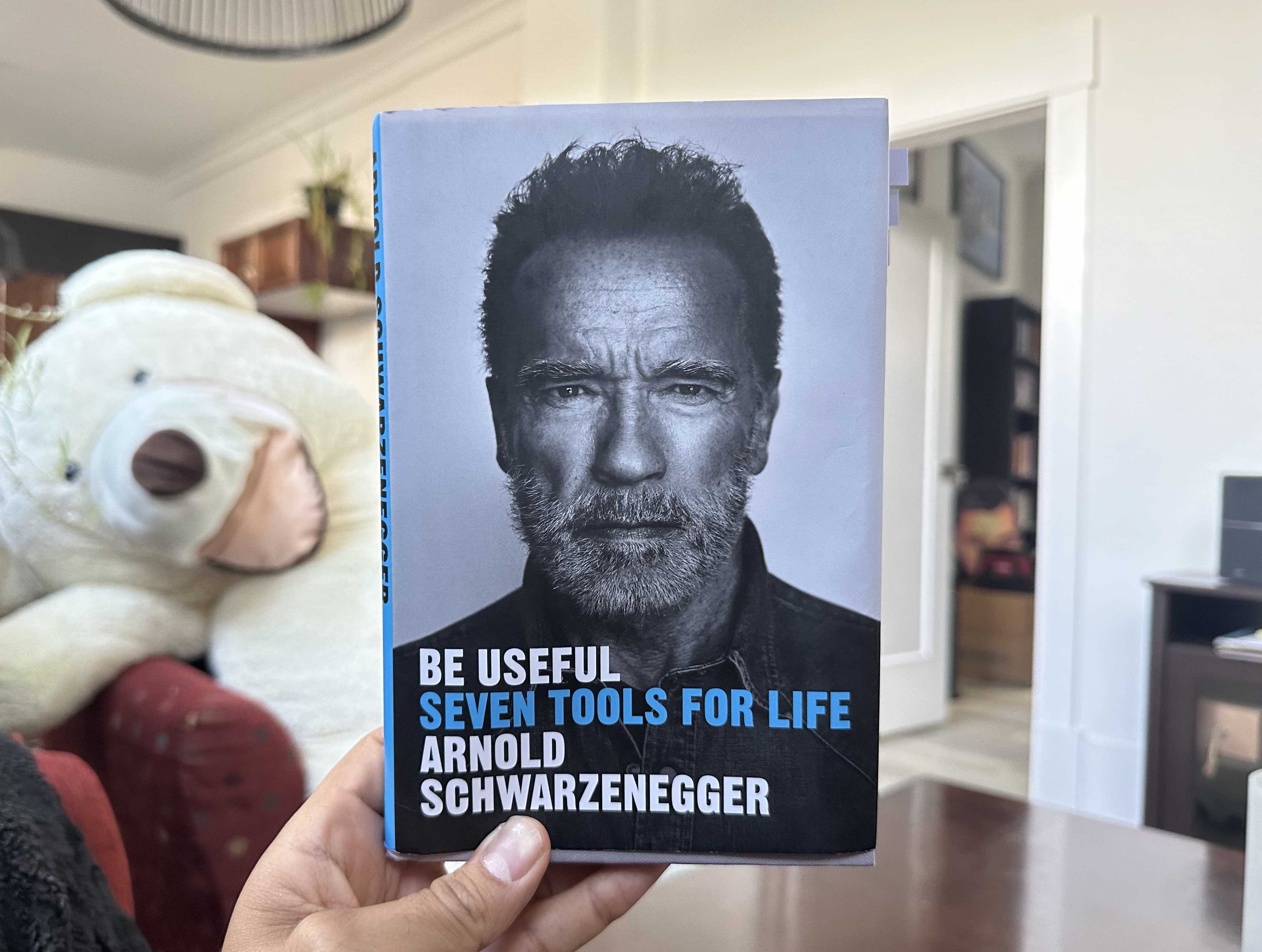 Be Useful by Arnold Schwarzenegger - A 300-Word Book Review — Now With ...