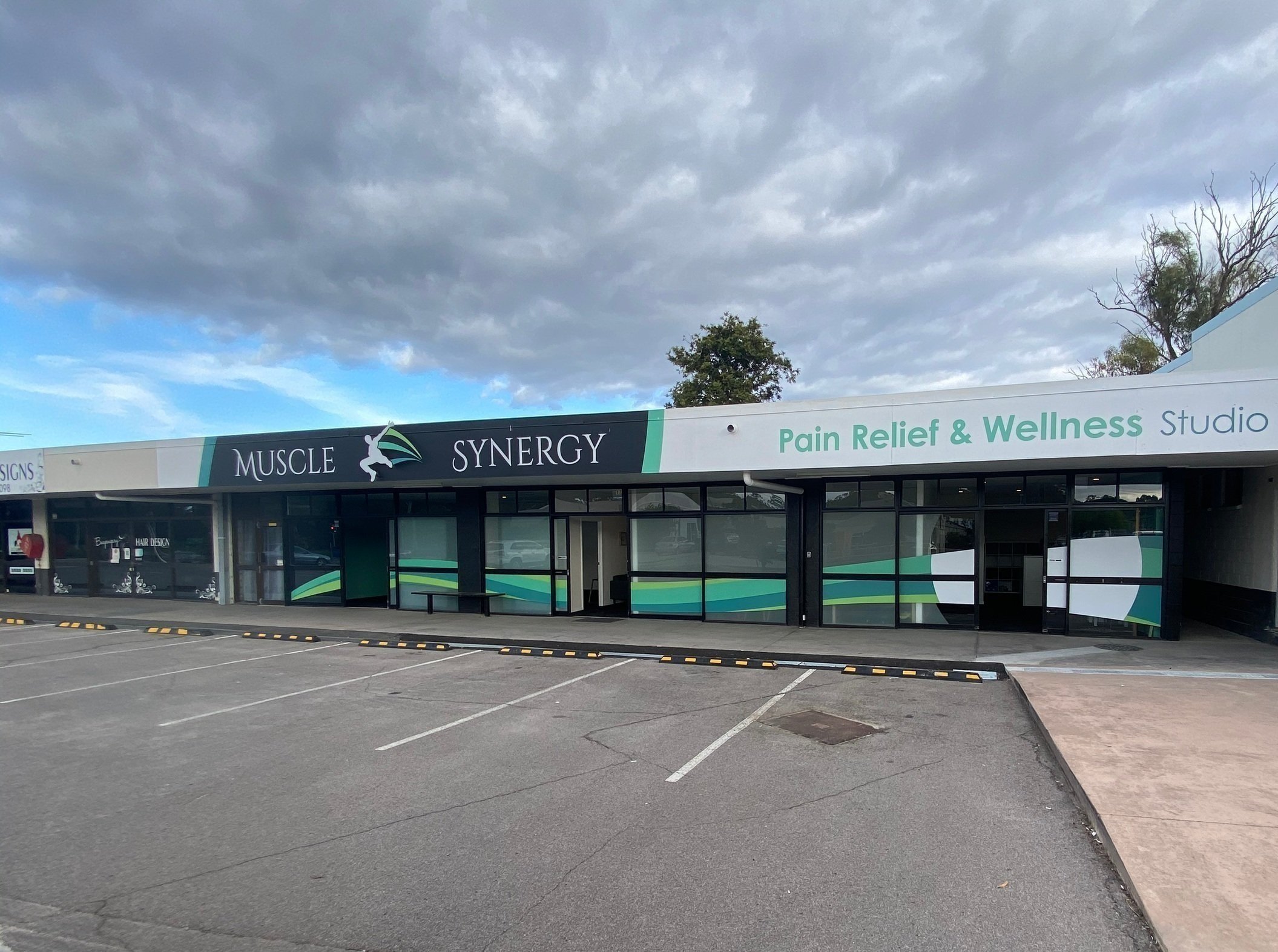 Book — Muscle Synergy