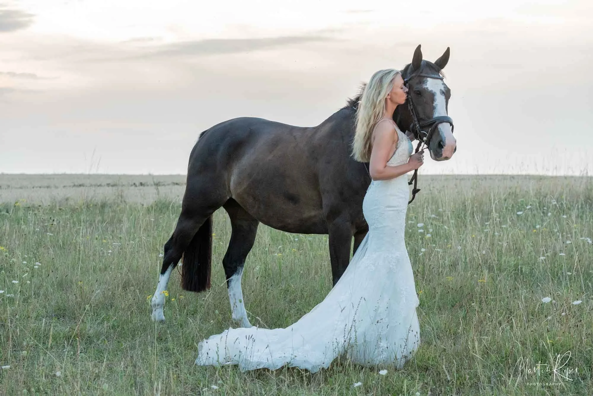 Suffolk Equine Photographer — Martin Roper