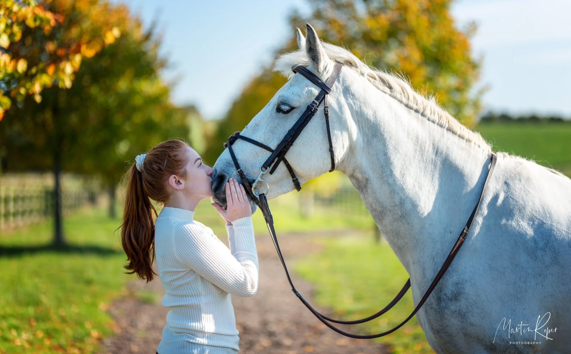 Suffolk Equine Photographer — Martin Roper