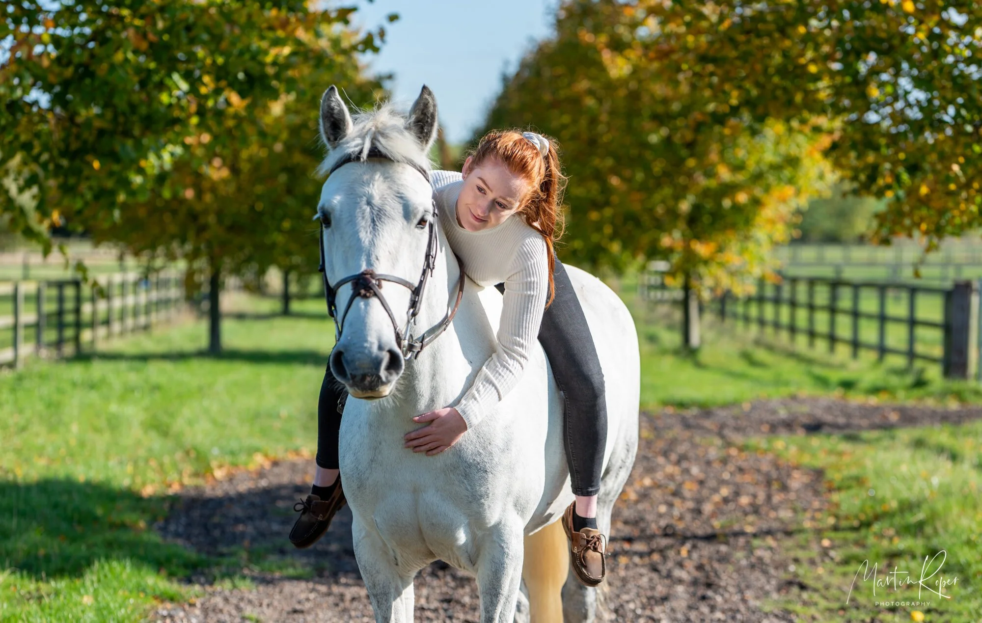 Suffolk Equine Photographer — Martin Roper