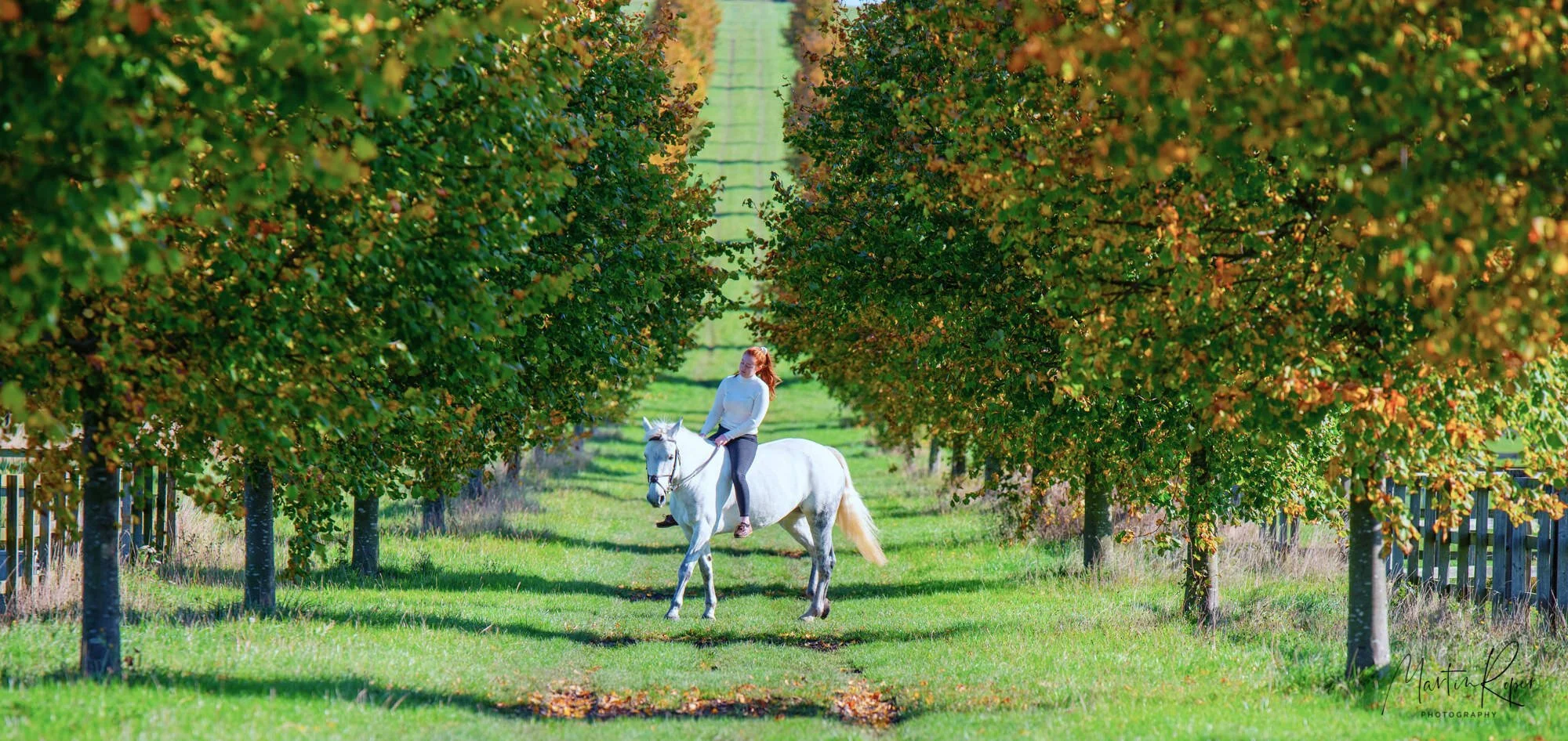 Suffolk Equine Photographer — Martin Roper