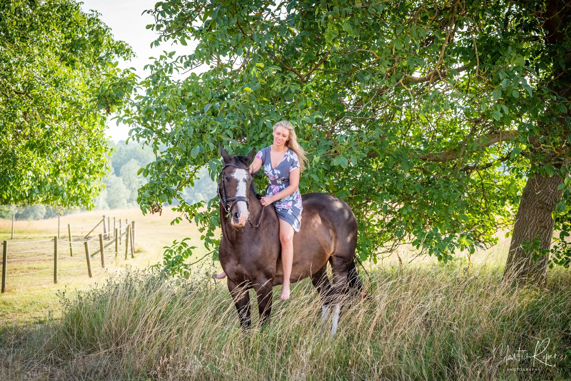 Suffolk Equine Photographer — Martin Roper