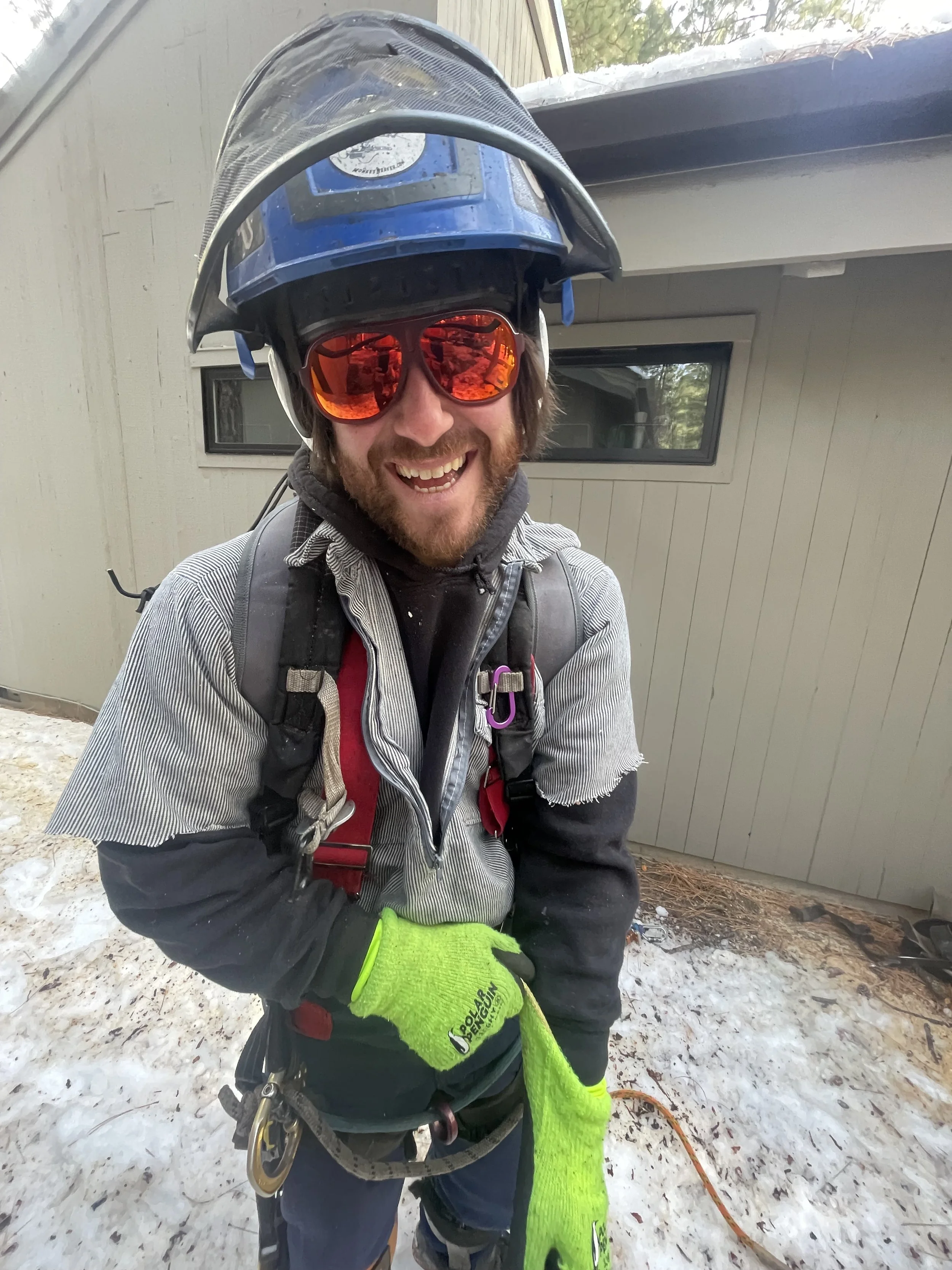 Spar Tree: Good for Trees, Good to People