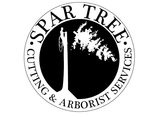 Spar Tree: Bend Oregon Arborist